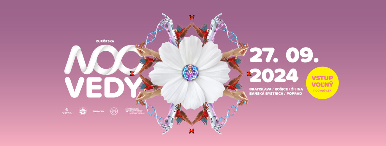 Festival - Noc Vedy